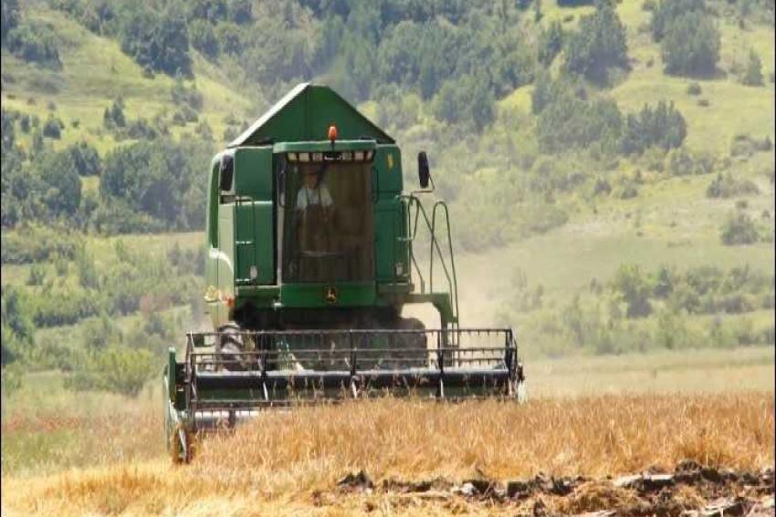 Со ИПАРД 3 за седум години во македонското земјоделство ќе влезат инвестиции од 250 милиони евра