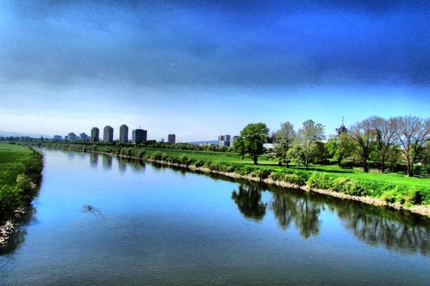 Saving Sava Valley from invasive species | Support4Partnership